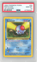 SegMint | Own the World's Best Collectibles